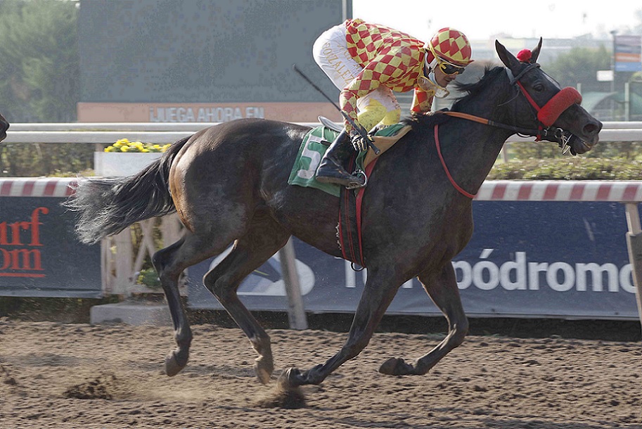 La Candonga como la cenicienta venció en el Clásico Carlos Allende ...
