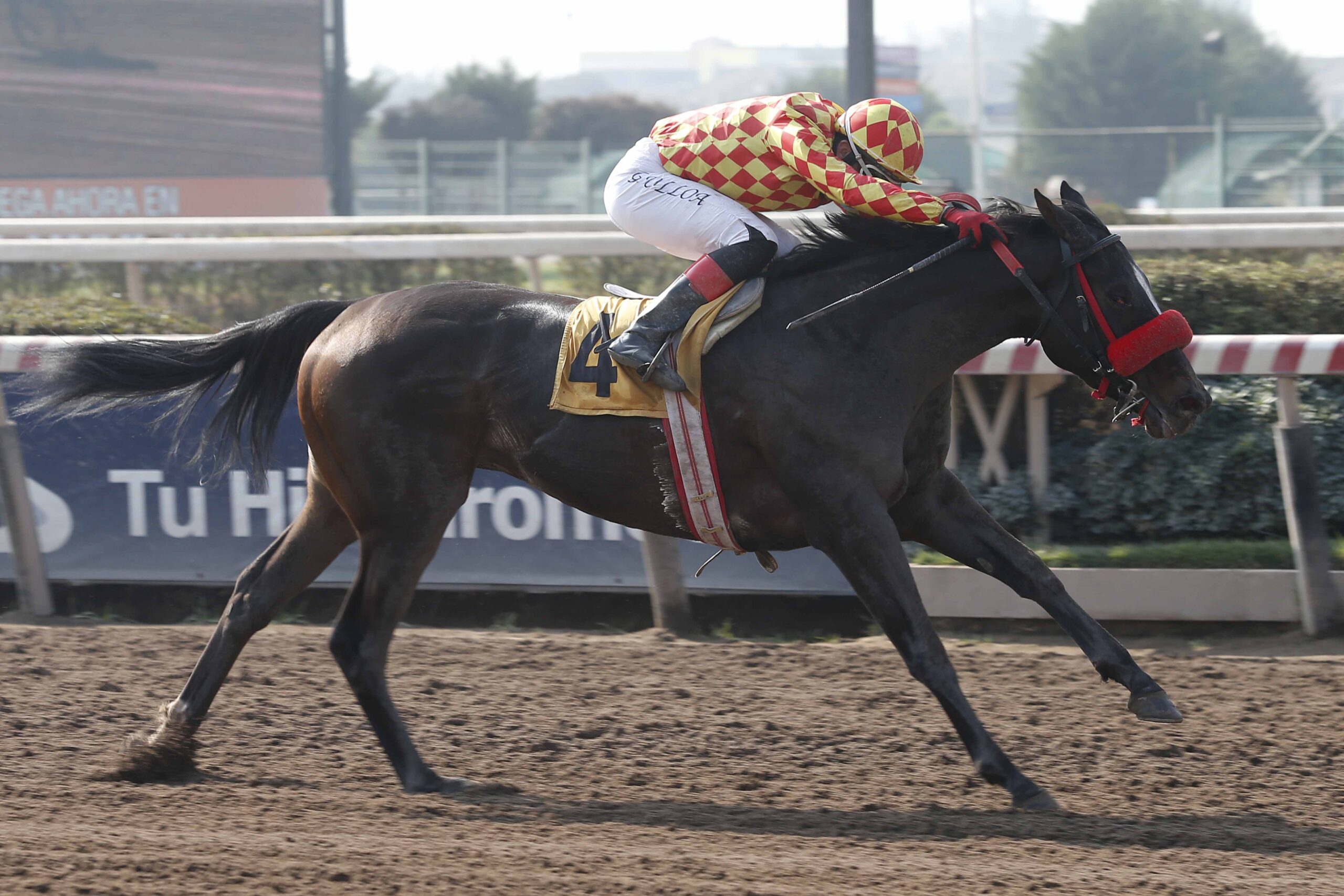 La Candonga no creyó en cuentos y triunfó en el Asociación de ...