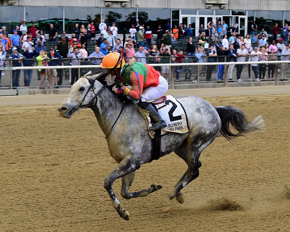 Drafted determinante al final con Ortiz ganó el Field Runhappy Stakes ...