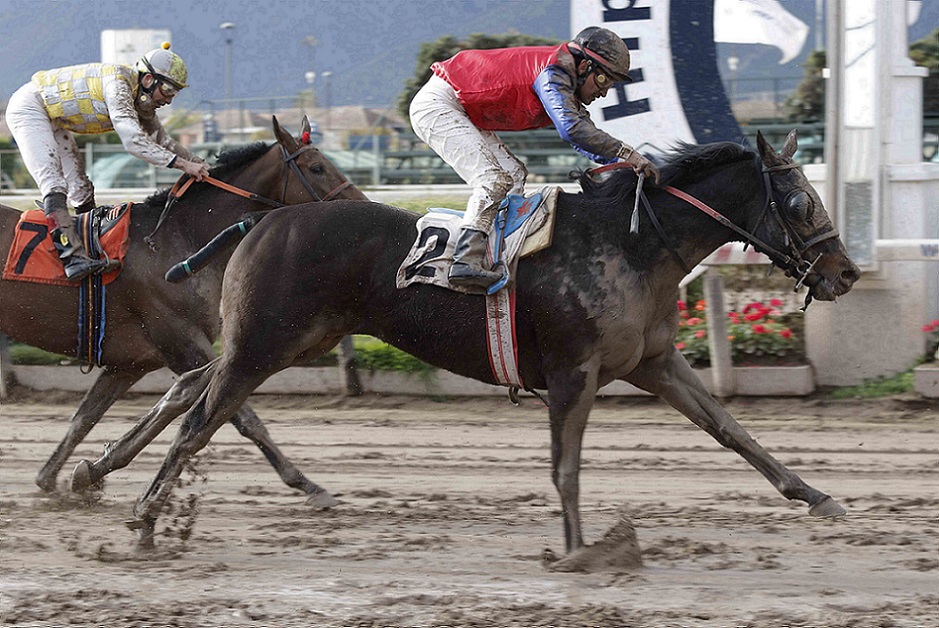 Tiberio Graco fuerte abajo ganó el Clásico Fundación Arturo López Pérez ...