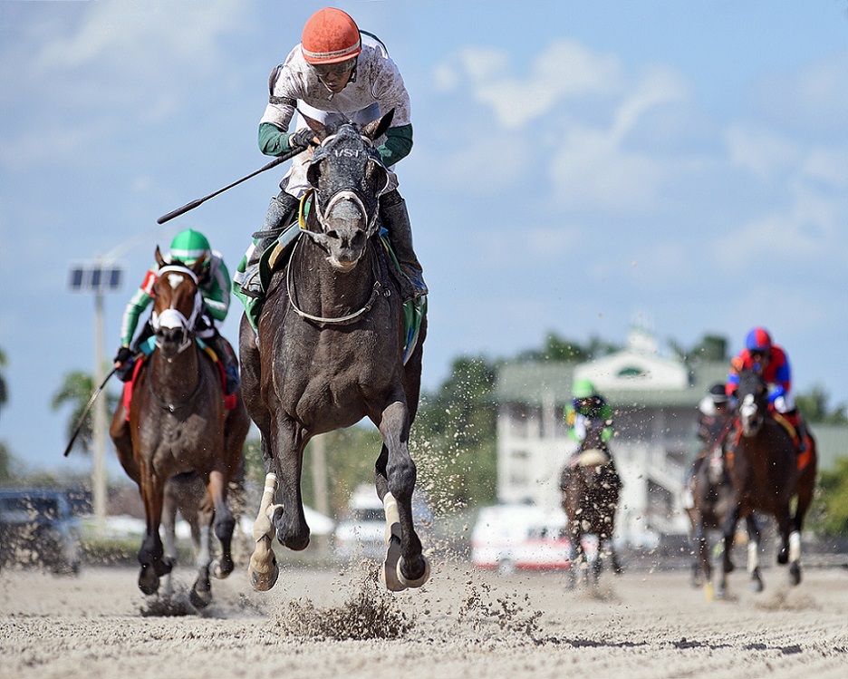 O´Connor en la manos tuvo debut ganador en USA - Hípica Global