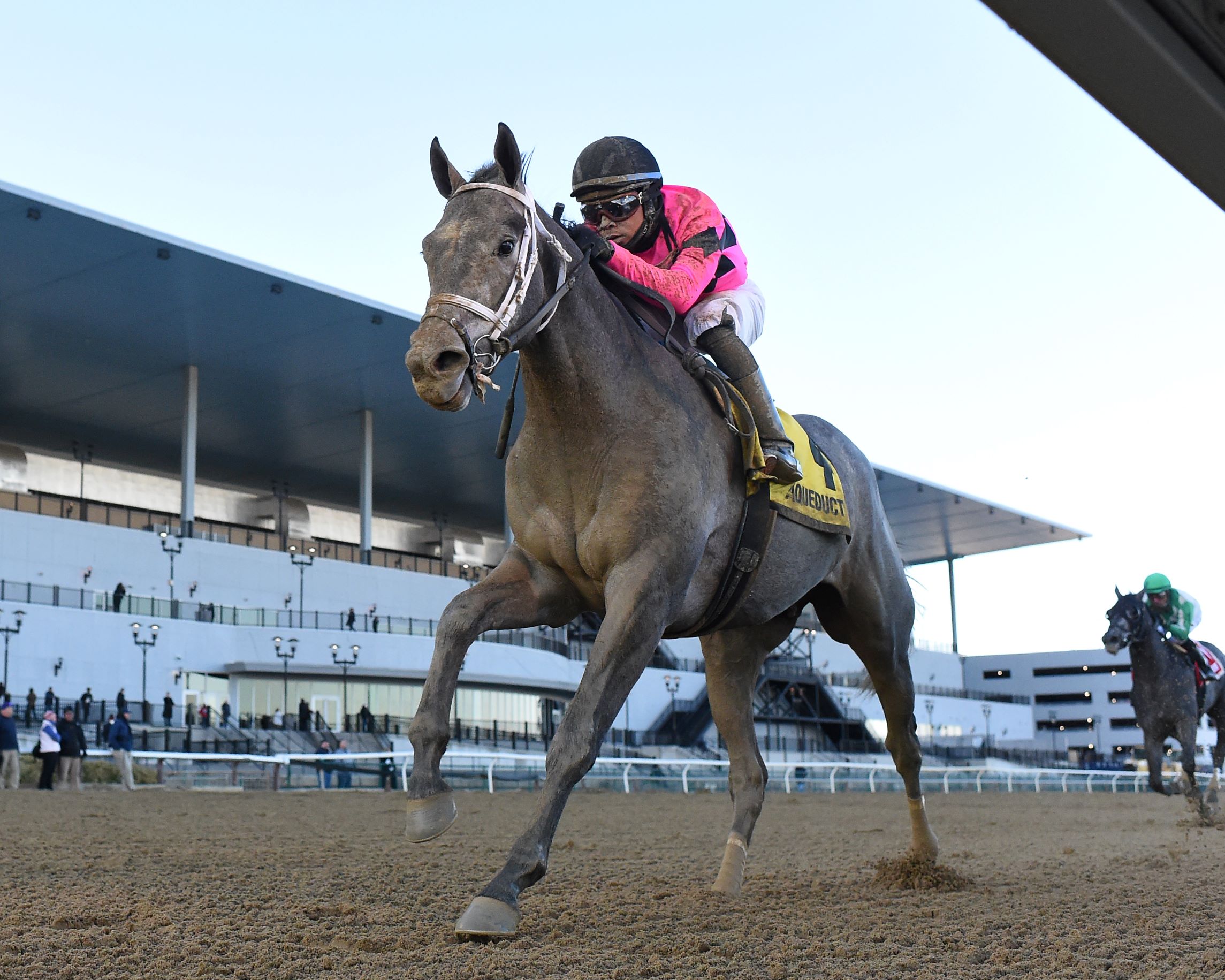 Hit Show con Franco ganó al galope en el Withers Stakes - Hípica Global