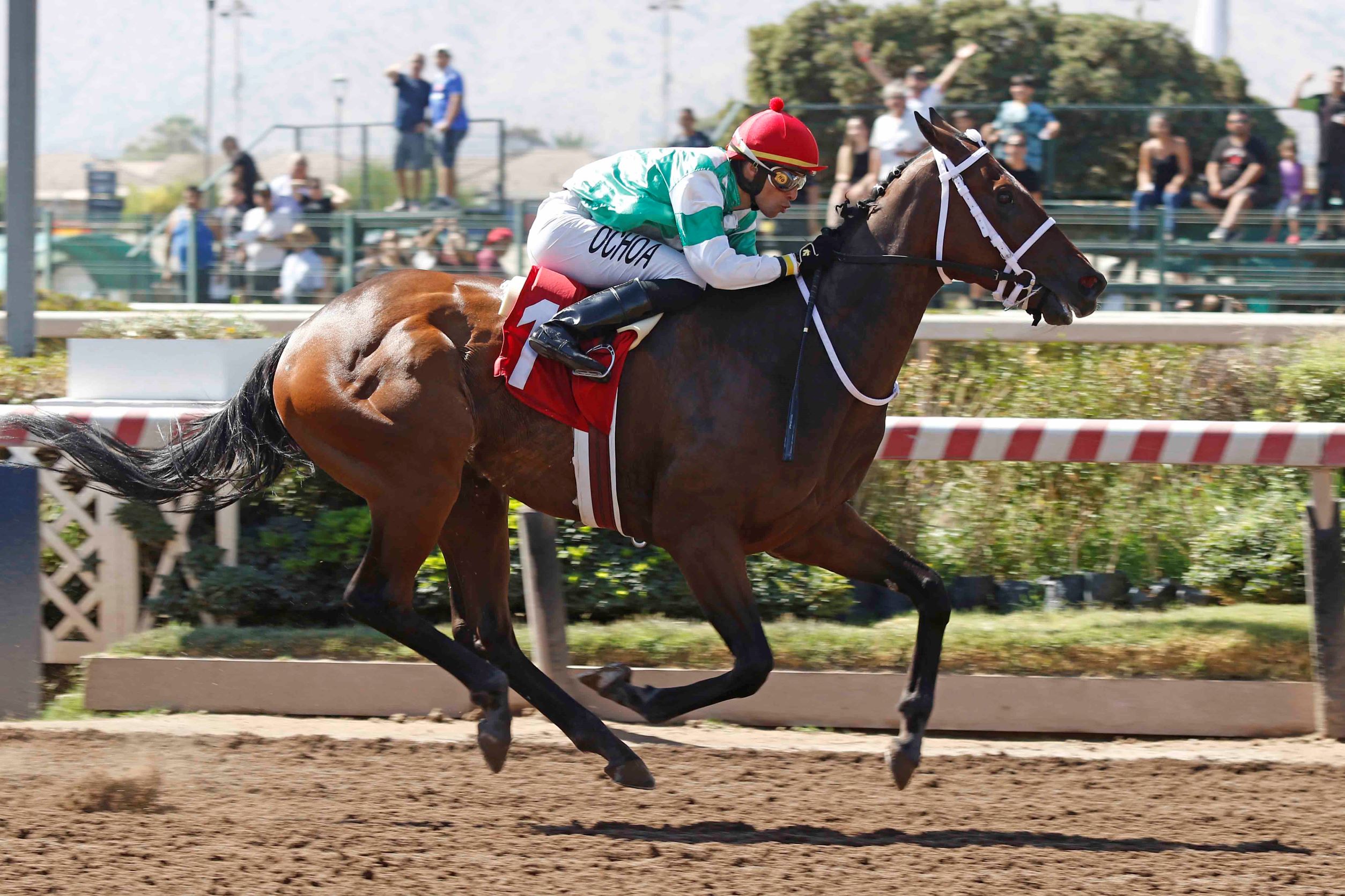Hernest se reveló y ganó el Clásico Camilo Rufin Franzoy - Hípica Global