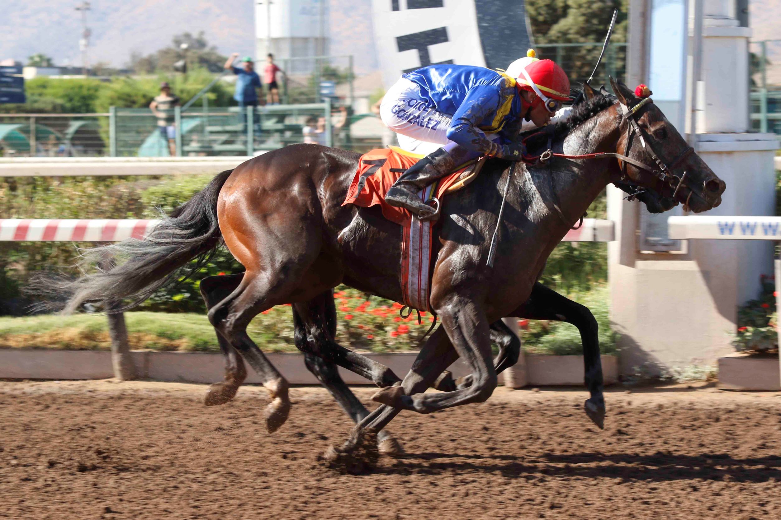 Julius Cesare pescó abajo y ganó el Clásico Universidad Mayor - Hípica ...