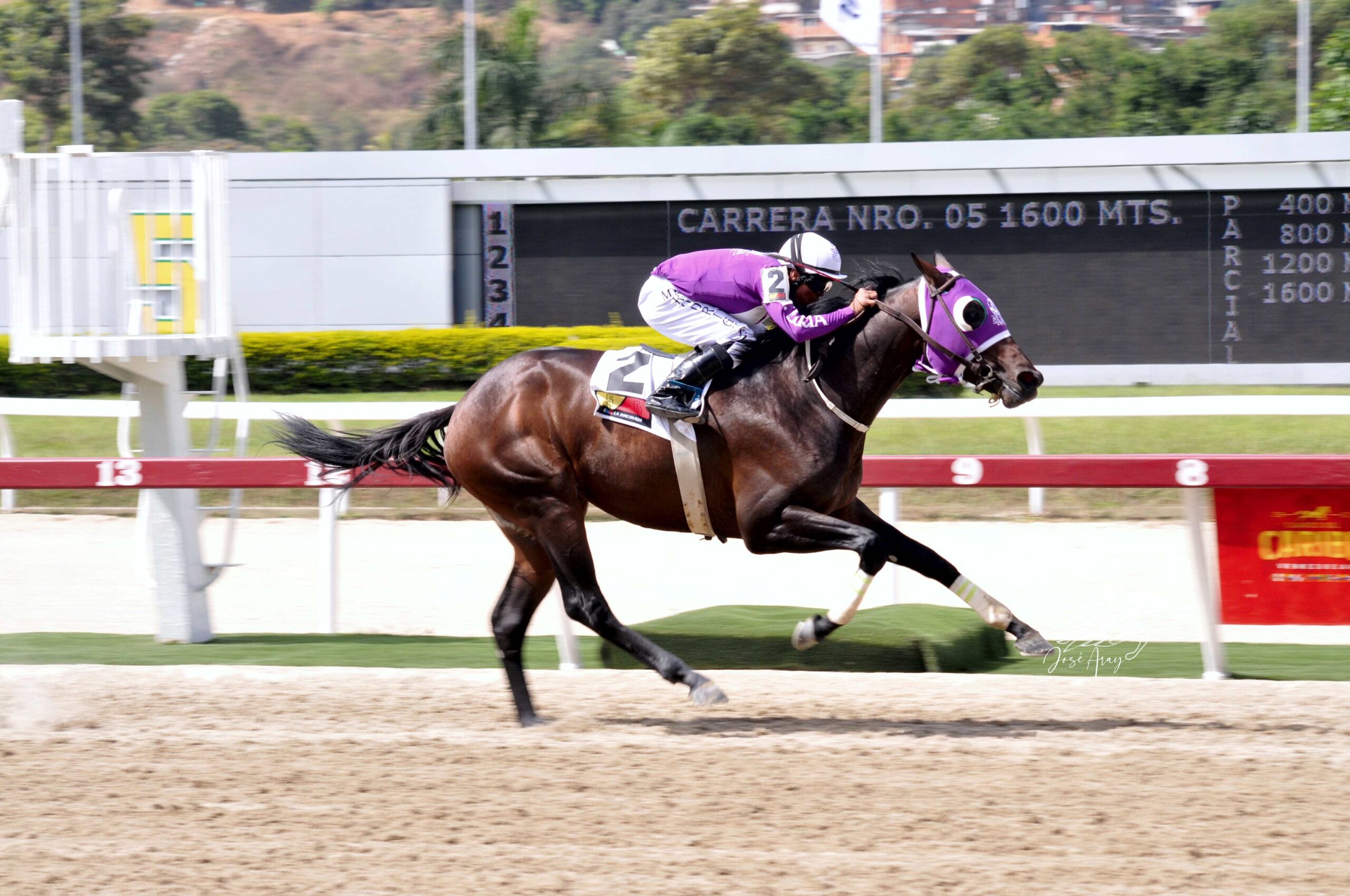 Li Tre Fratelli impresionó otra vez y ganó el Clásico Francisco de ...