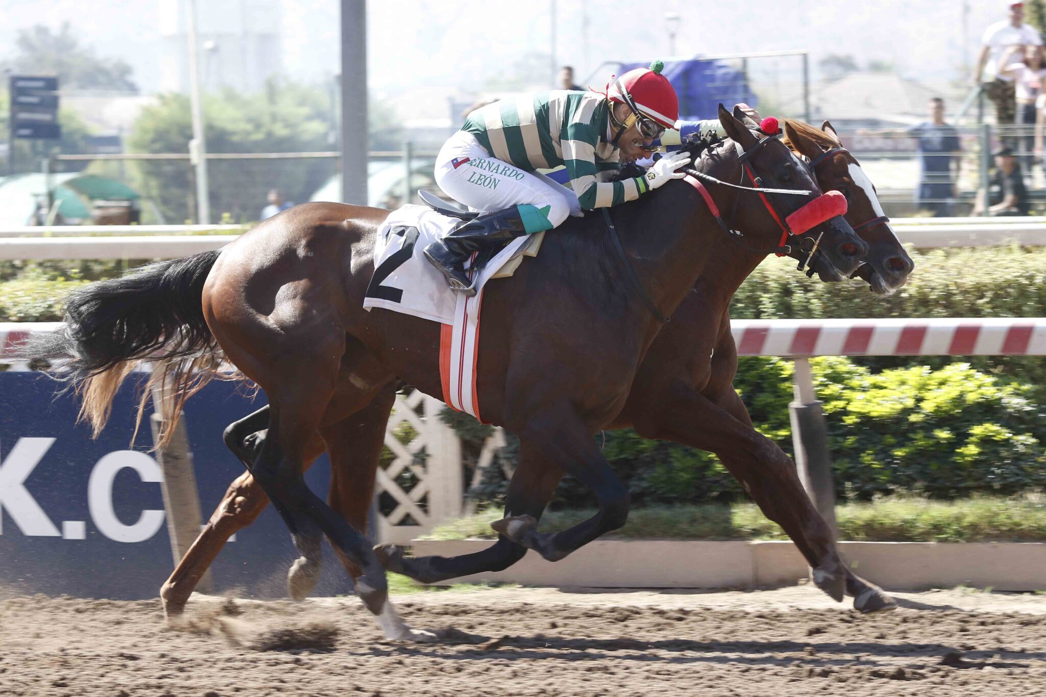 Ned Gowan soprendió de principio a fin para ganar el Clásico Julio ...