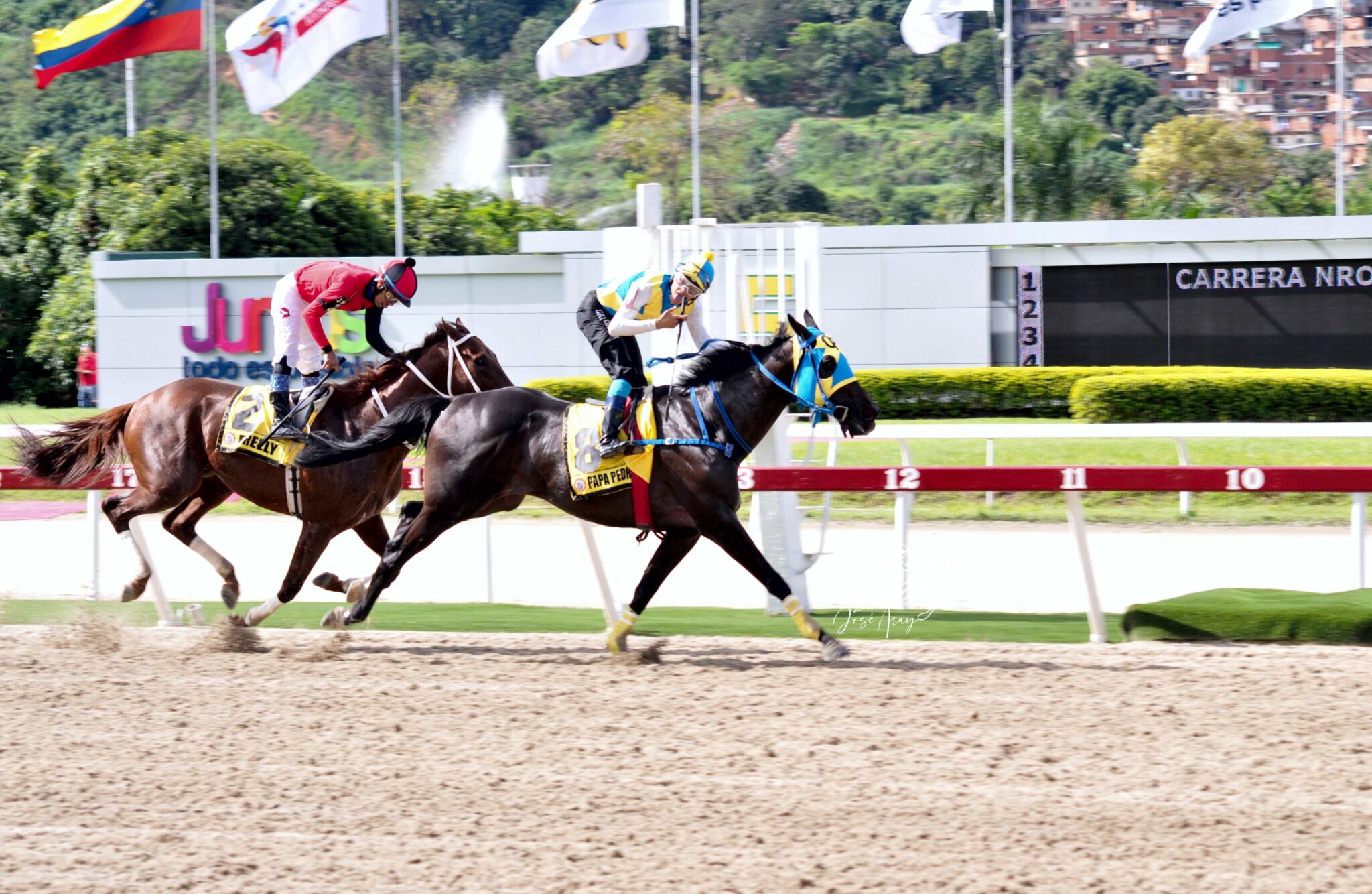 Papá Pedro con la última chispa de energía ganó el Clásico FANB ...