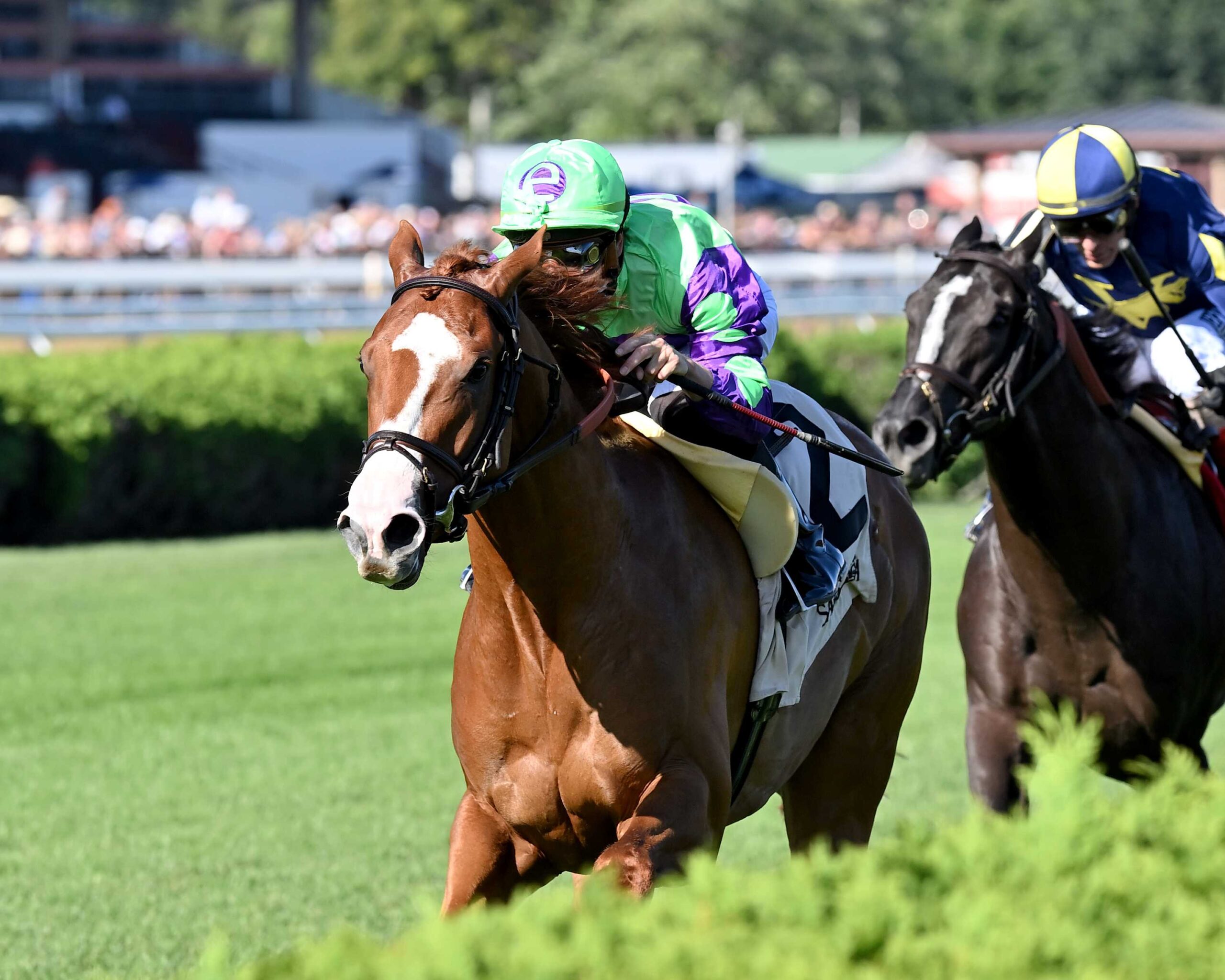 Carl Spackler al final cobró para ganar el National Museum of Racing ...