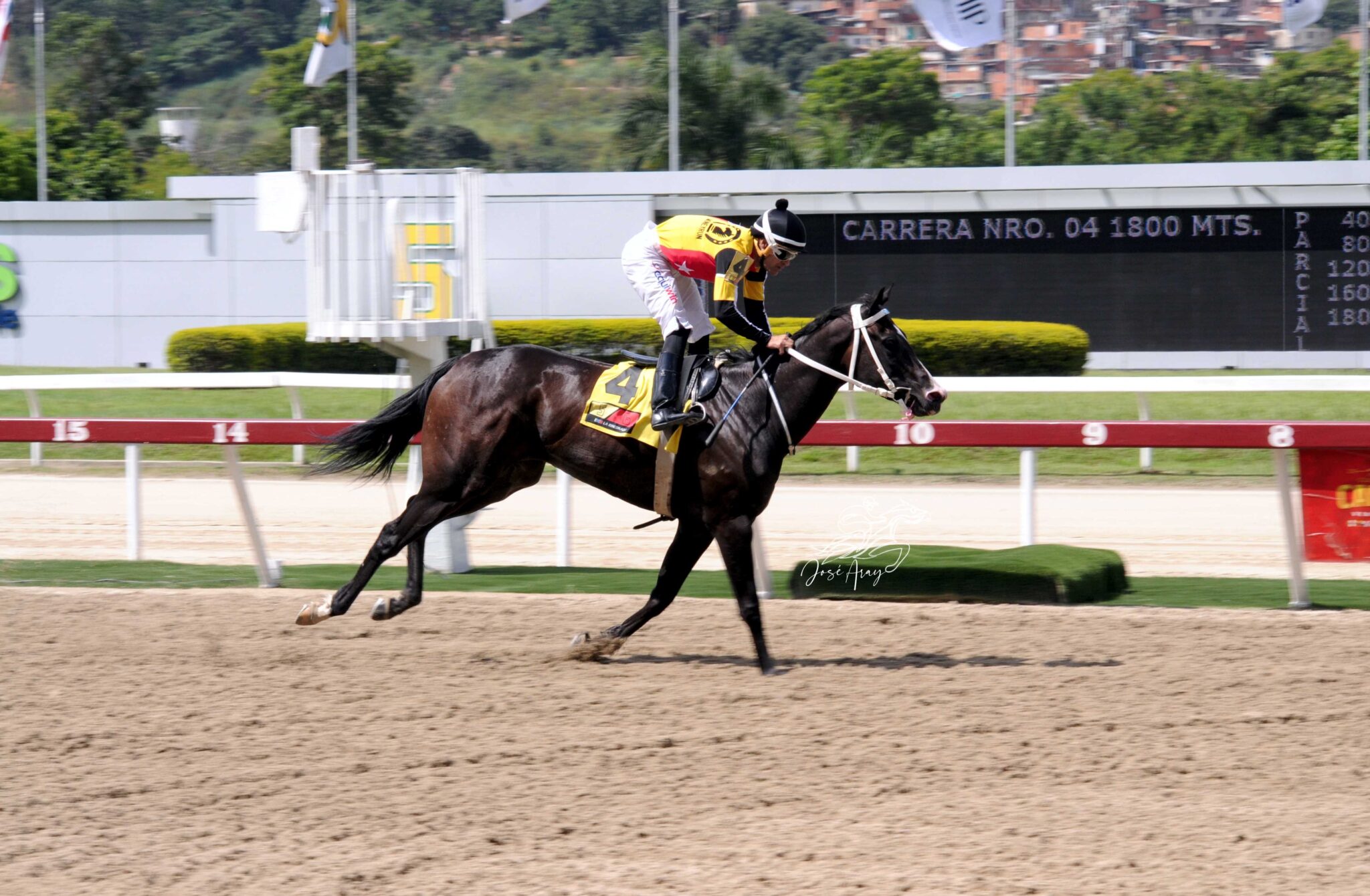 Fast Sensations tomó revancha de Mi Querida Emma - Hípica Global