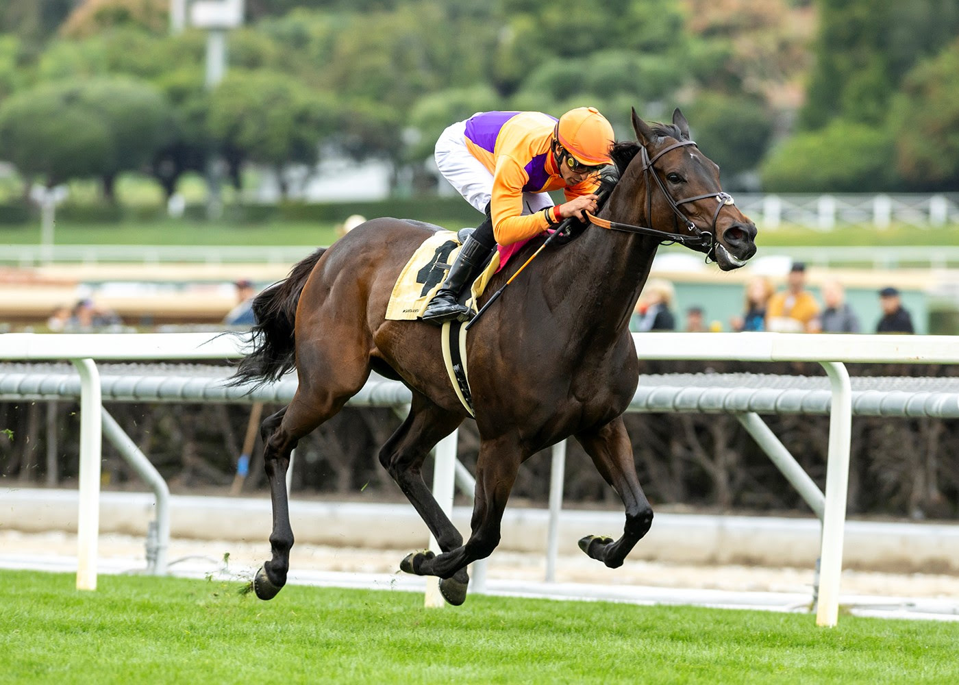 Ruby Nell dio un paseo para ganar el Lady Of Shamrock Stakes - Hípica ...