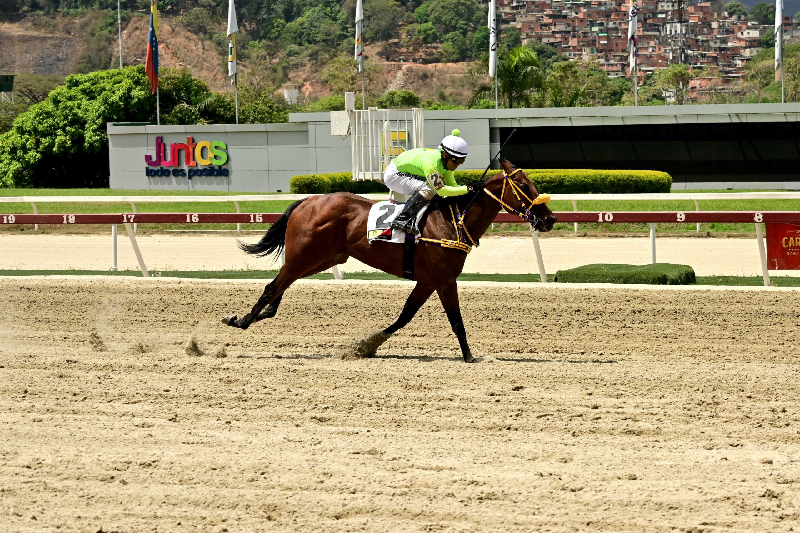 Four Palms arropó al final para ganar el Queen Clásico Manuel Fonseca ...