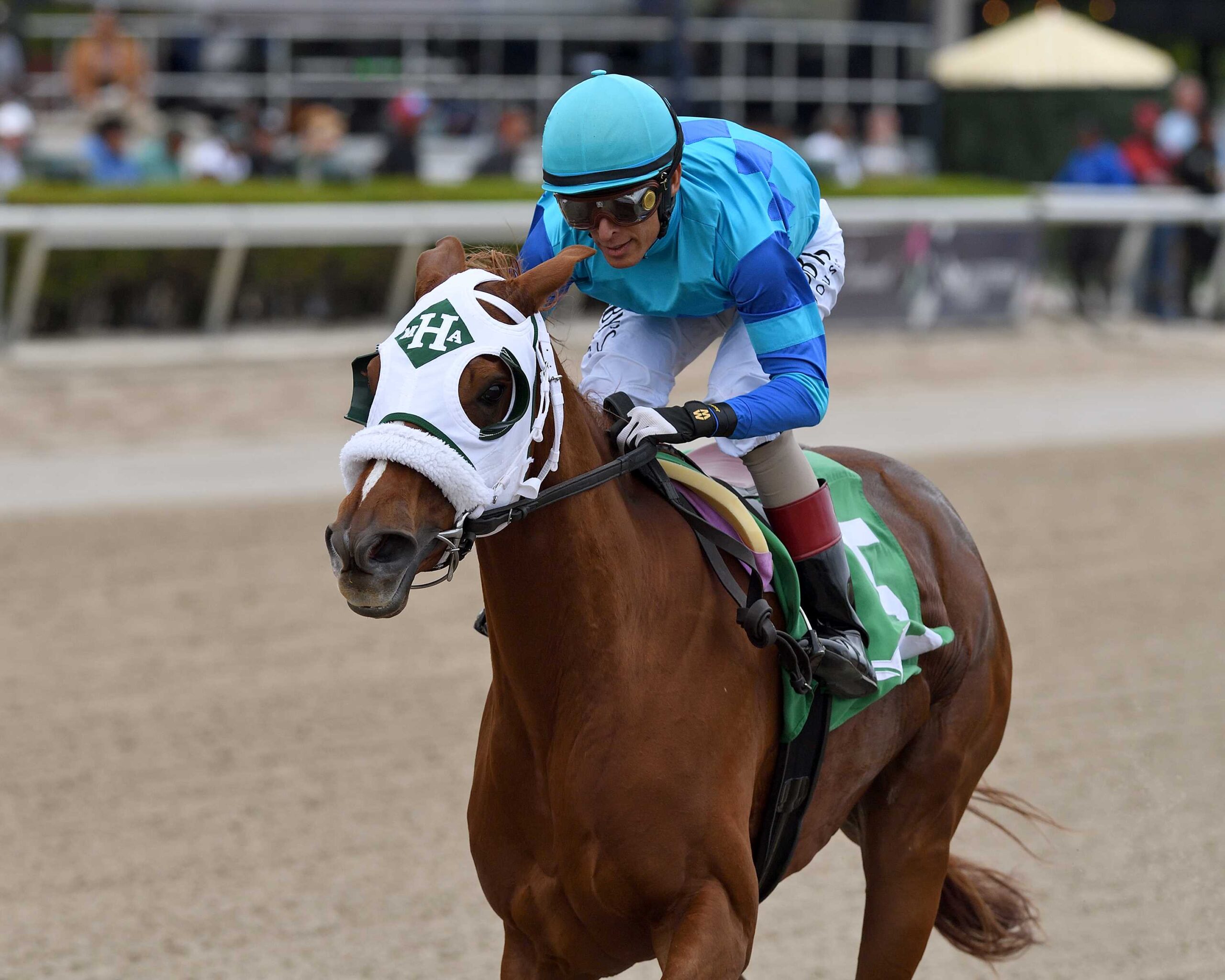 Gun Song con el maestro Johnny V galopó en el Black Eyed Susan Stakes ...