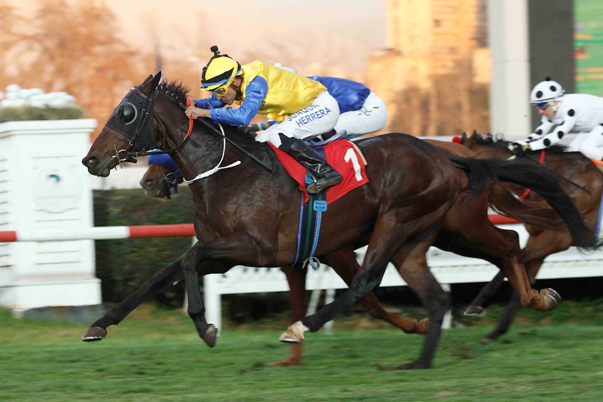 Remarkable justo a tiempo para ganar el Gran Premio Machos Marcel ...