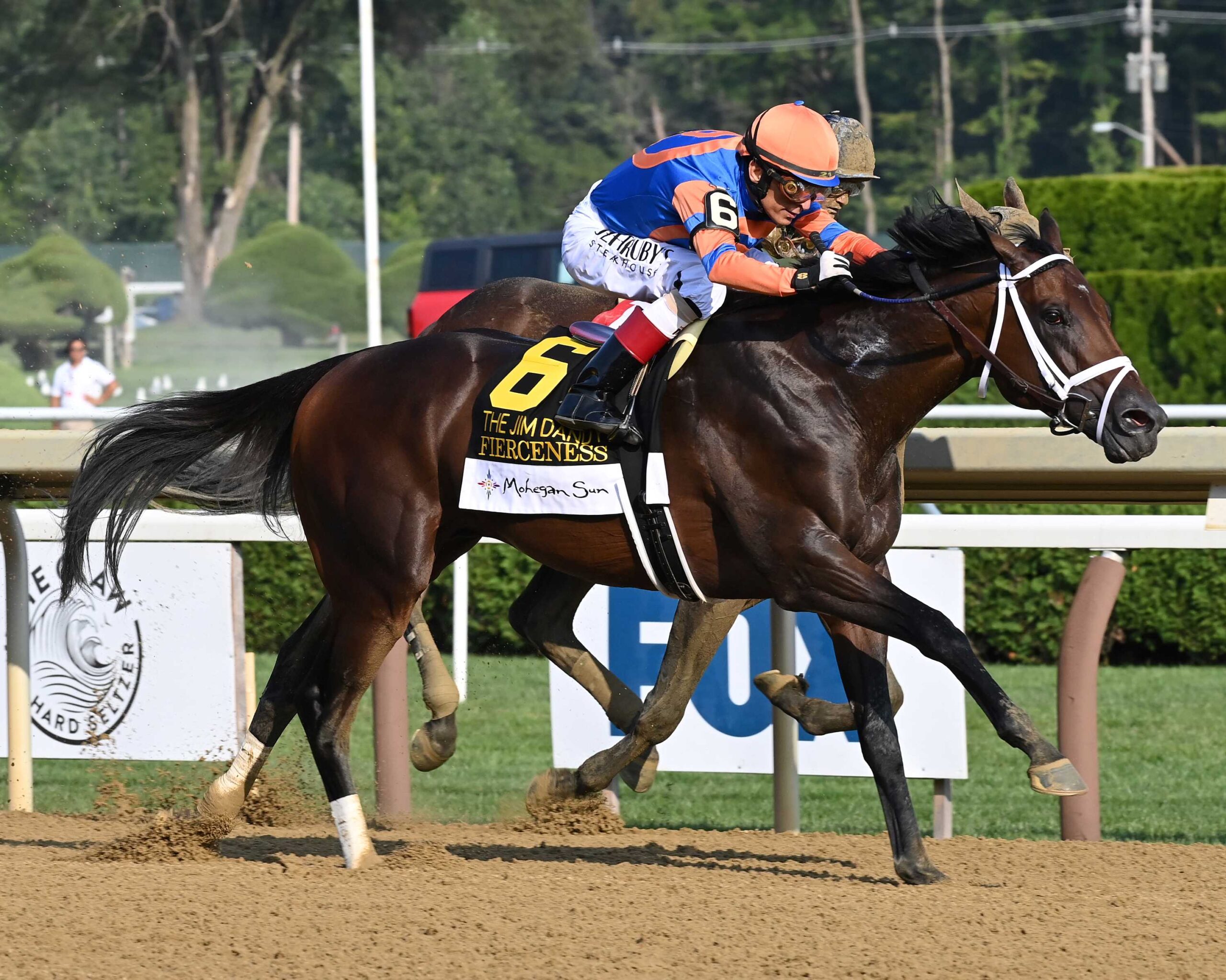 Fierceness retomó su nivel para ganar el Jim Dandy Stakes - Hípica Global