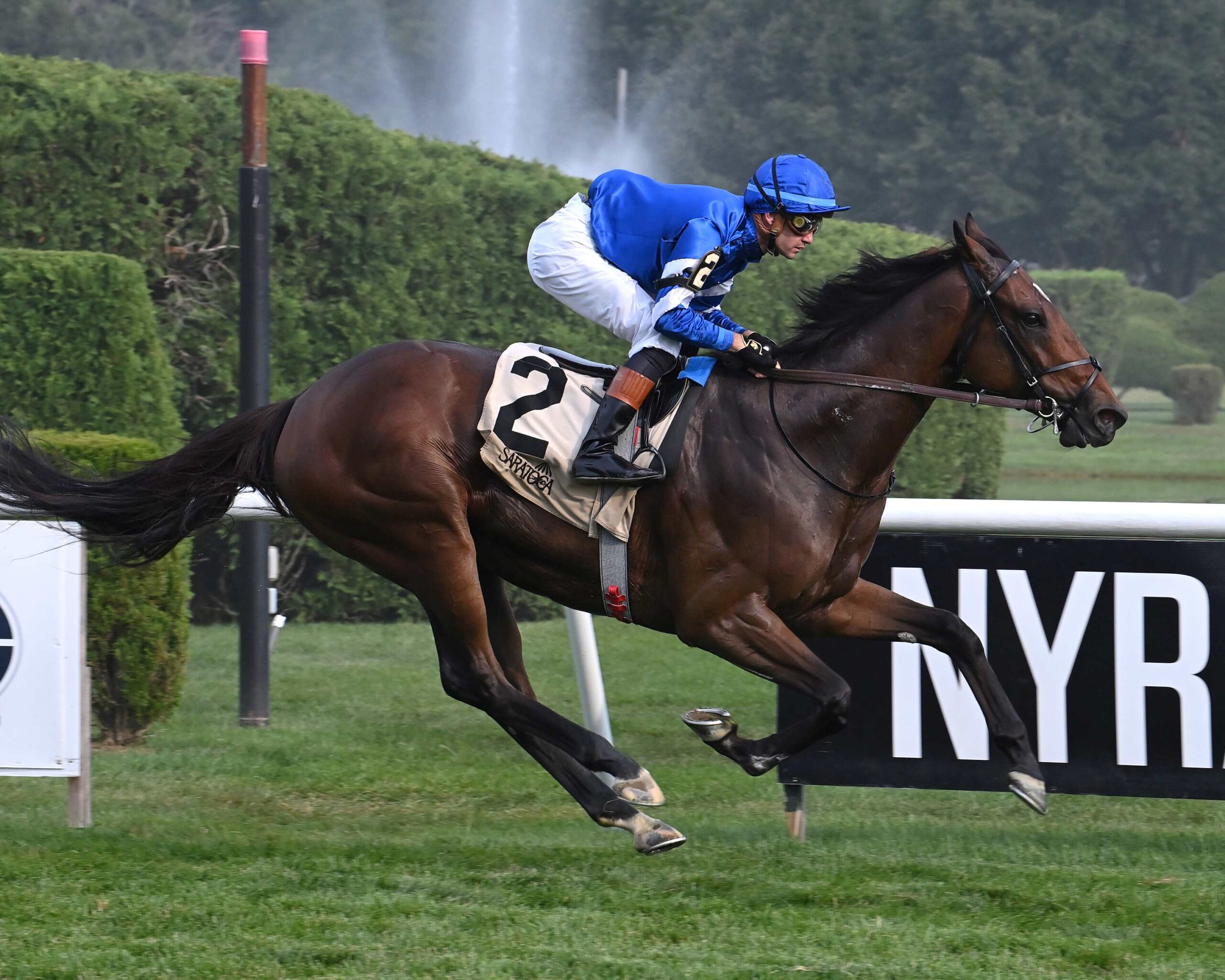 Silver Knott dio un paseo en el Bowling Green Stakes - Hípica Global