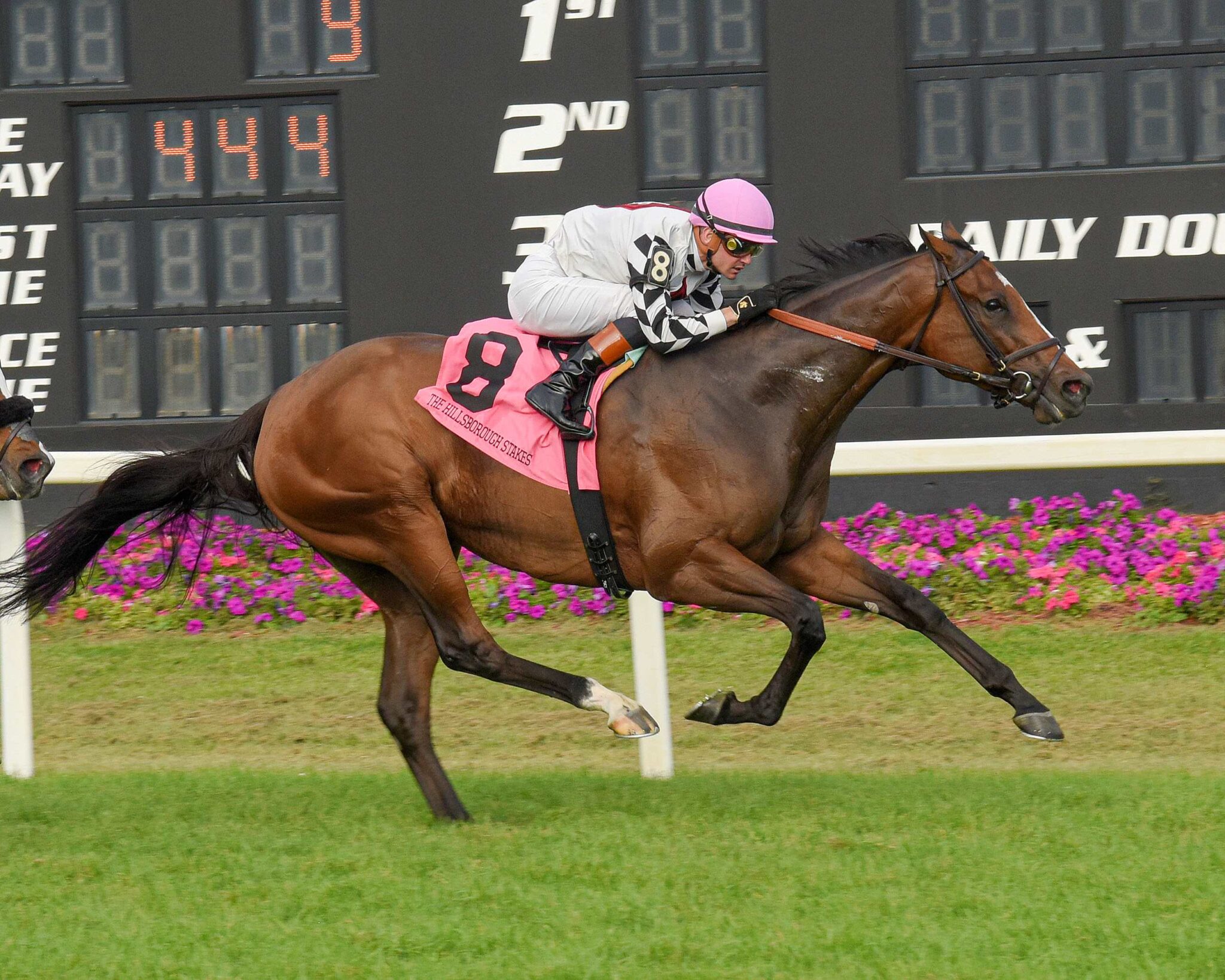 Saffron Moon la midió correctamente en el Hillsborough Stakes - Hípica ...