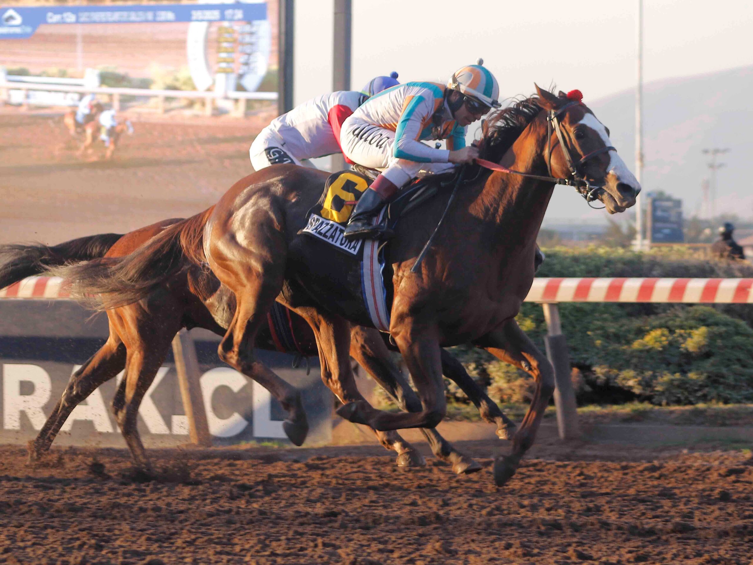 Spazzatura se defendió con todo para ganar el Gran Premio Hipódromo ...