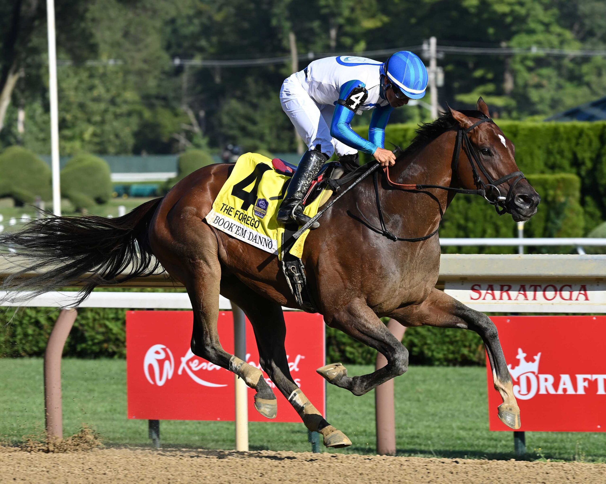 Book´em Danno no dejó para nadie en el Forego Stakes - Hípica Global