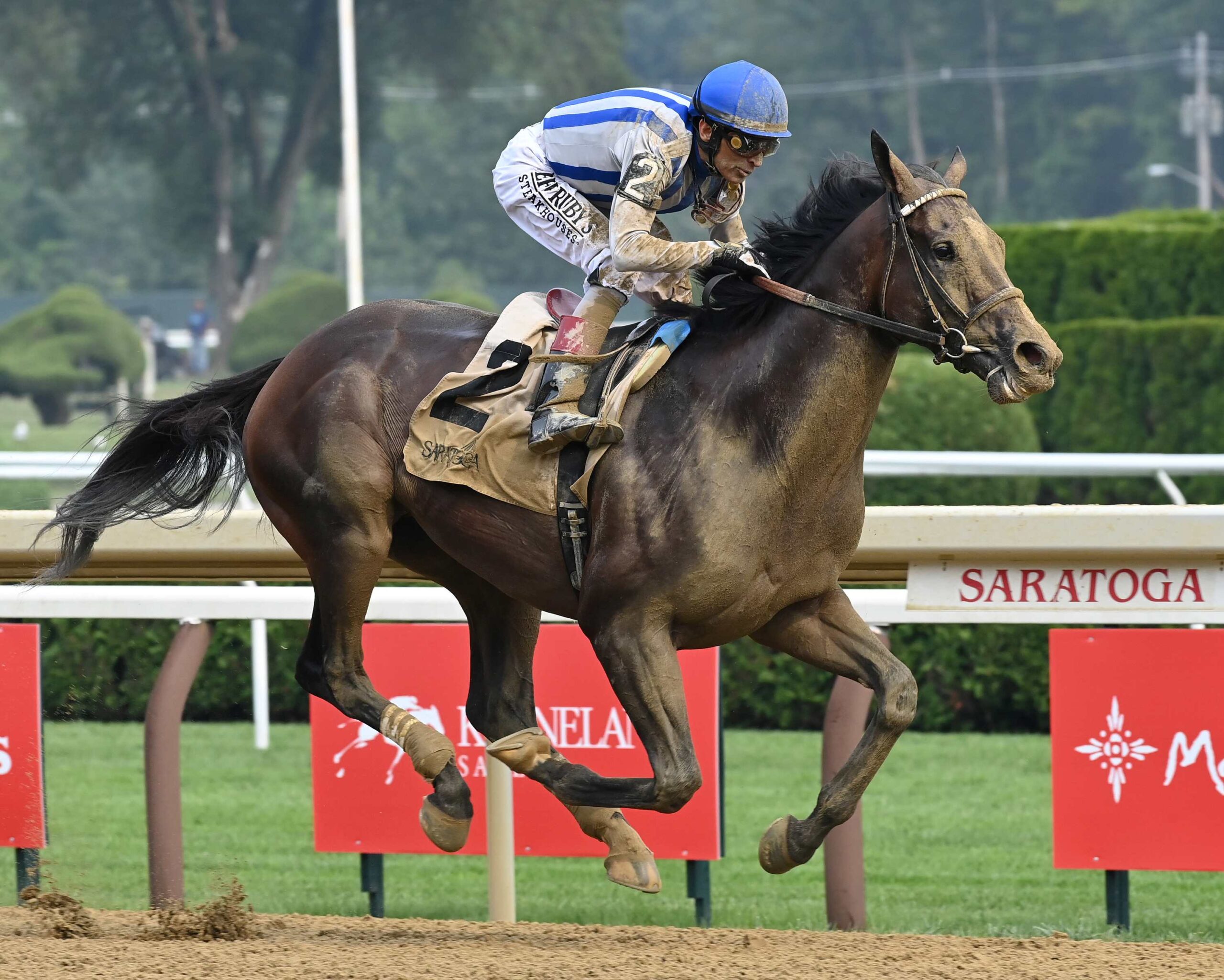 Parchment Party en su momento ganó el Birdstone Stakes - Hípica Global