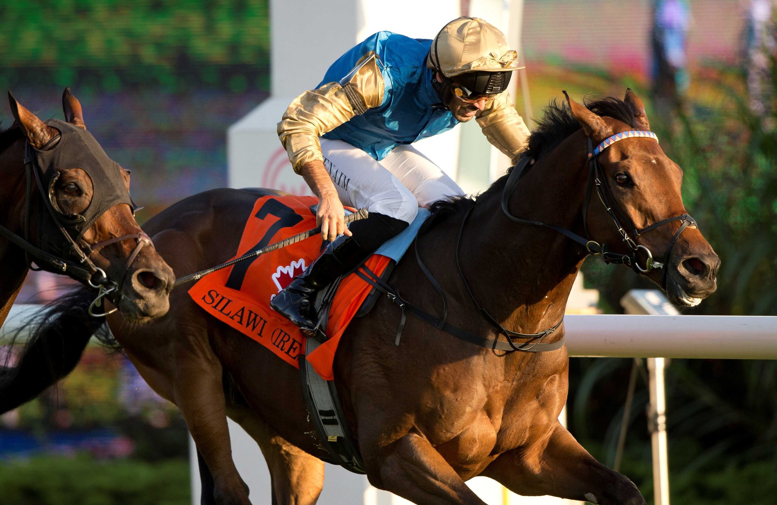 Silawi de principio a fin ganó el Canadian International Stakes ...