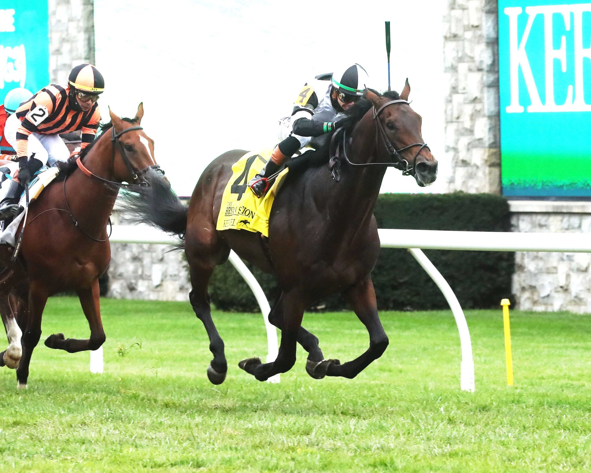 Troubleshooting con el toque de Gaffalione ganó en eñ Bryan Station ...