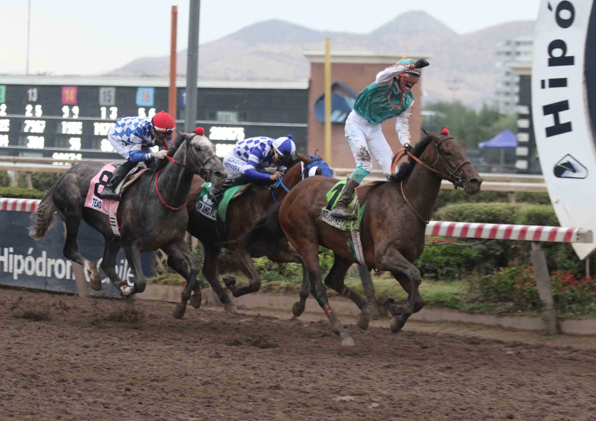 Apolo Rey con González parado en los estribos ganó el St. Leger ...
