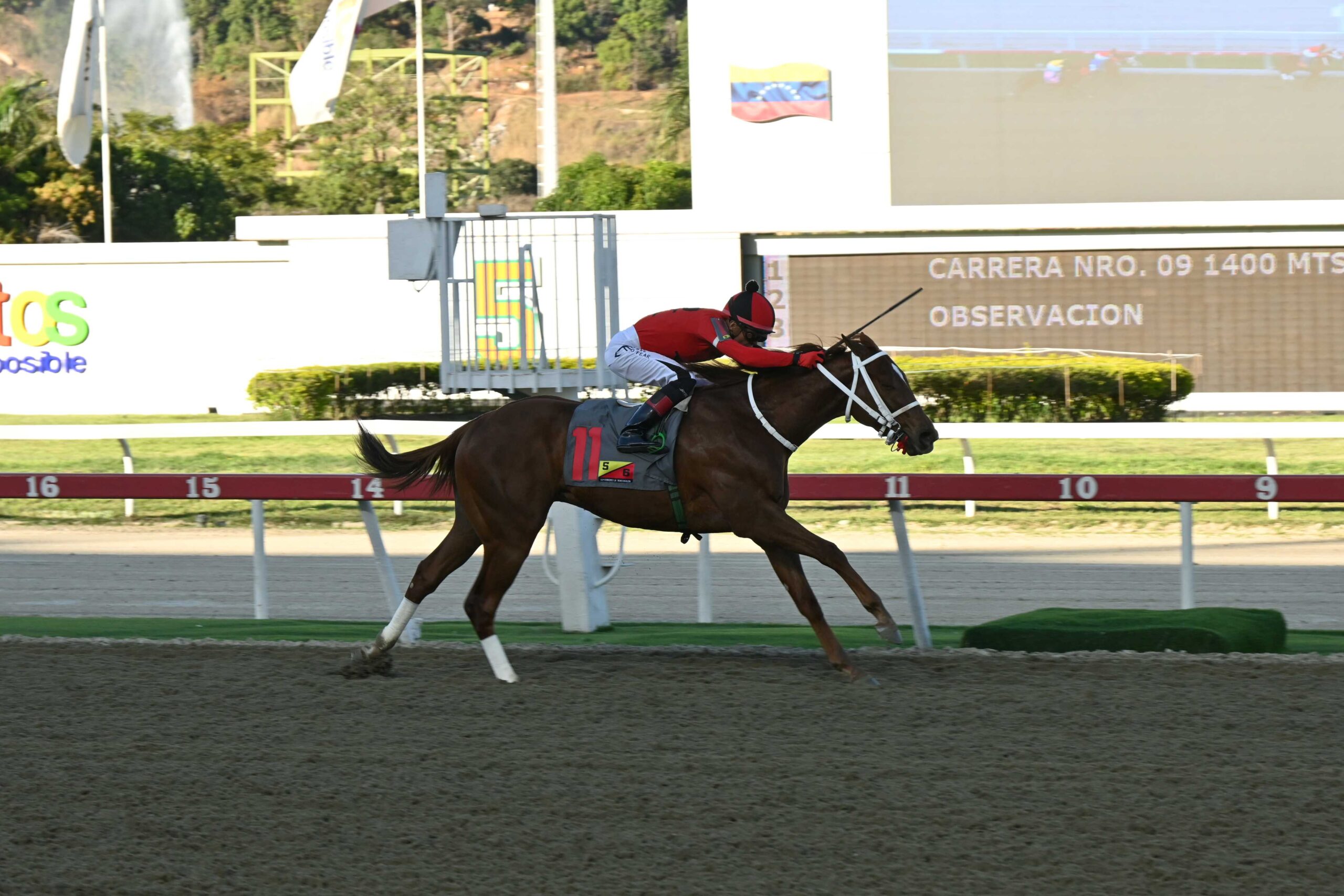 Banderas les echó tierra en el Clásico Francisco De Miranda - Hípica Global
