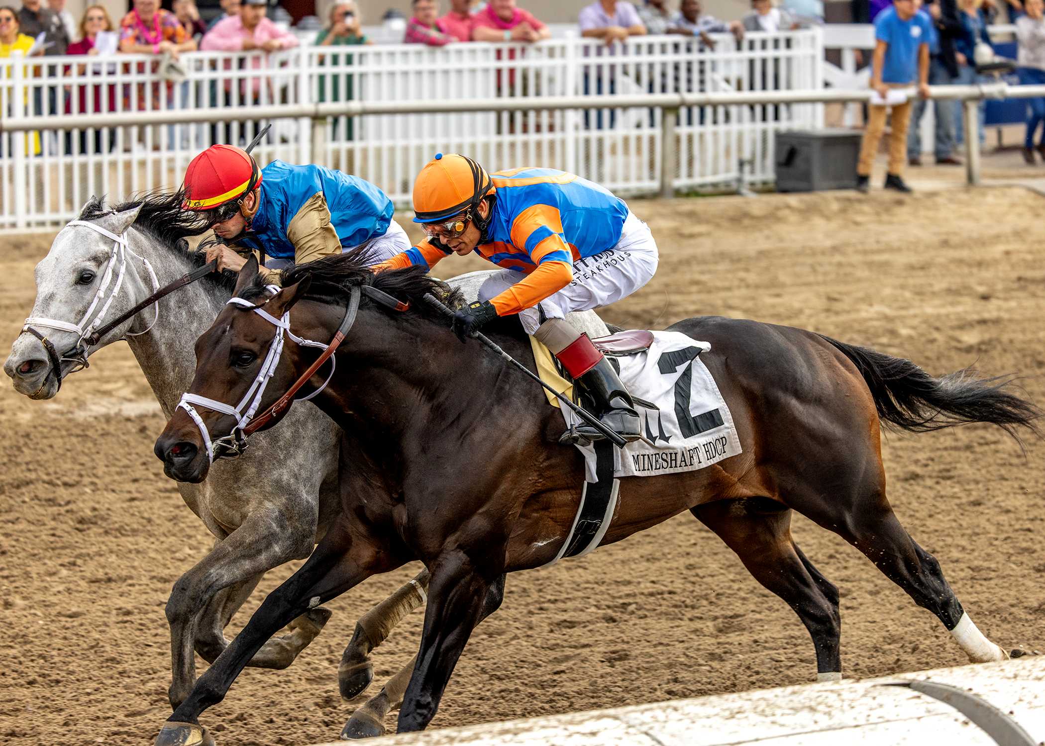 Hit Show en impactante final ganó el Mineshaft Stakes - Hípica Global