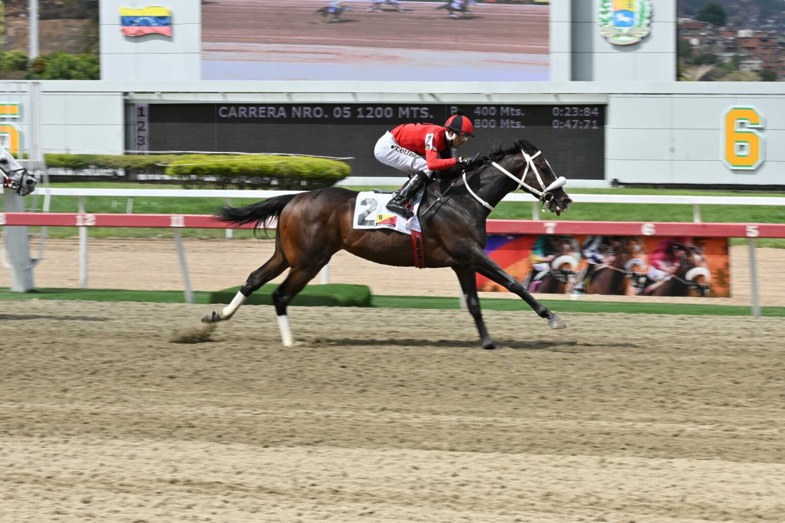 Magicshadow remató muy fuerte para ganar el Clásico Socopó - Hípica Global