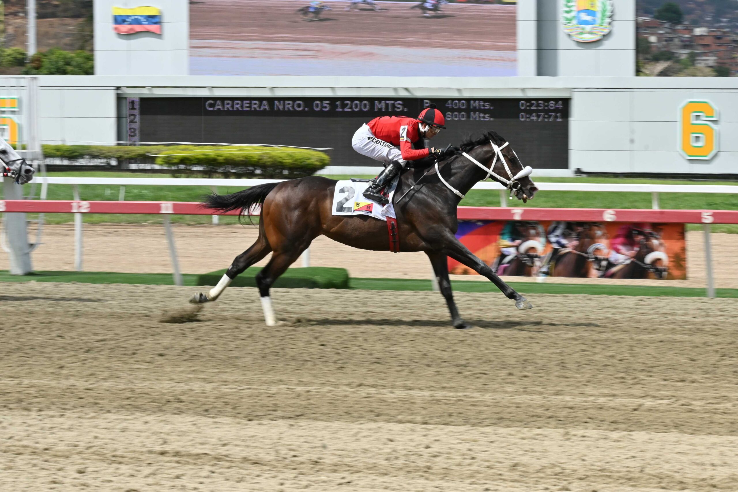 Magicshadow remató muy fuerte para ganar el Clásico Socopó - Hípica Global