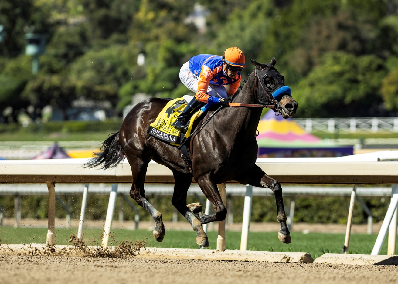 Splendora en las manos ganó la Beholder Mile Stakes - Hípica Global