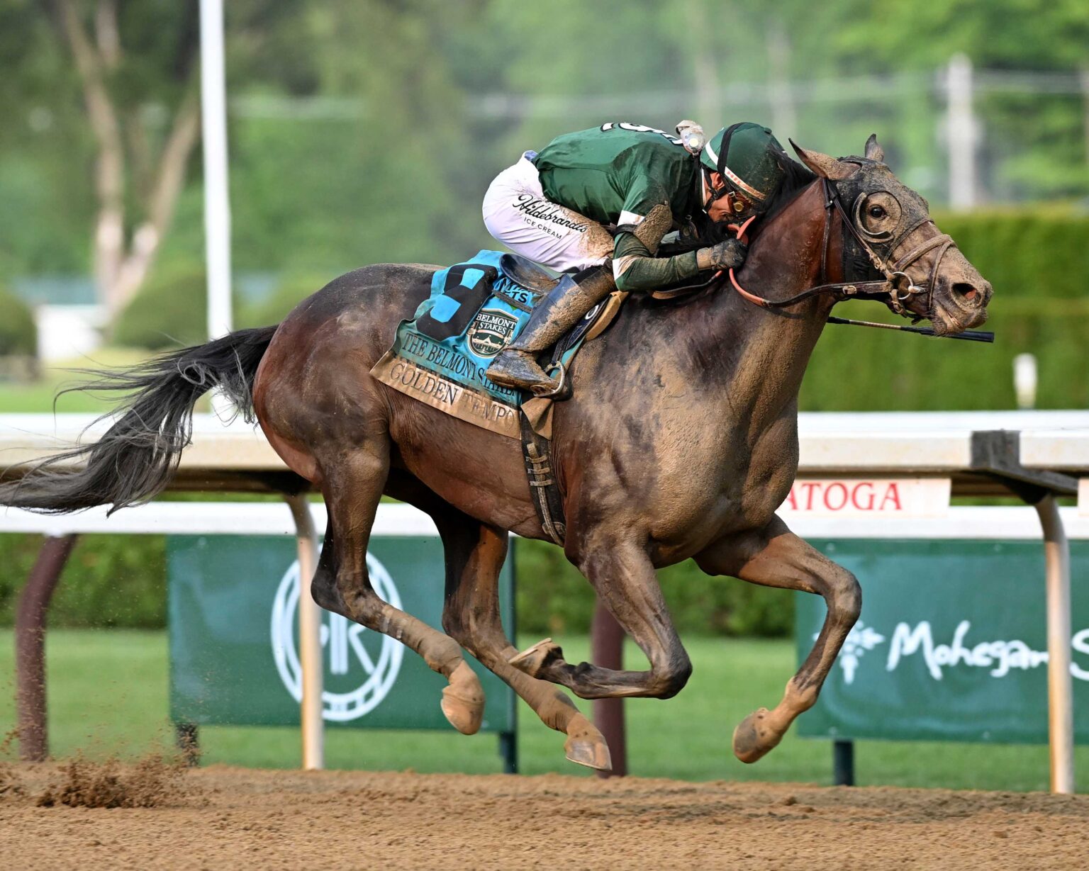 Golden Tempo entrenado por Cherie DeVaux ganó el Belmont Stakes ...